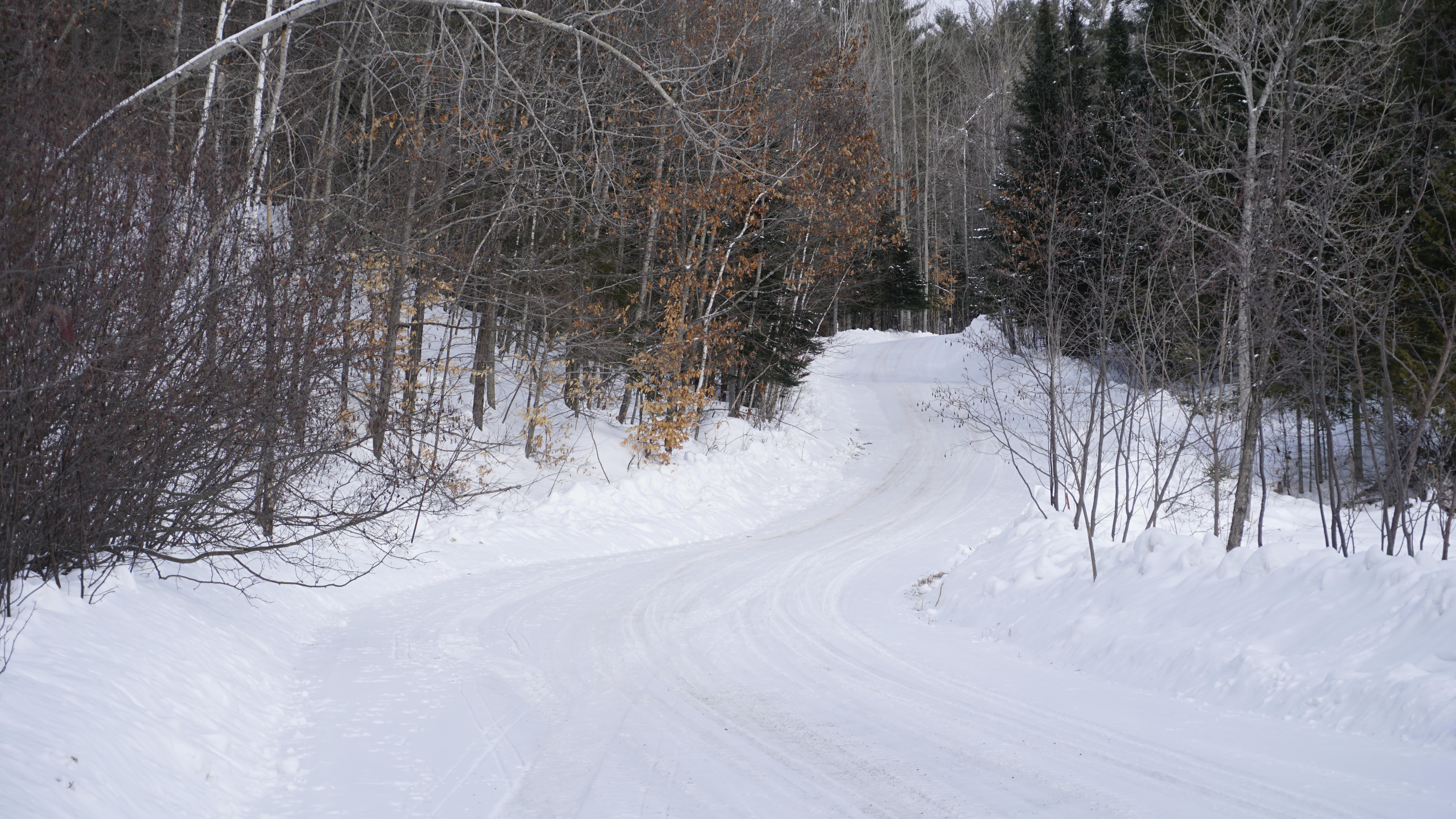 Snow and Ice await teams at Rallye Perce Neige | Canadian Rally ...
